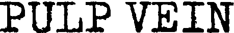 Pulp Vein Font